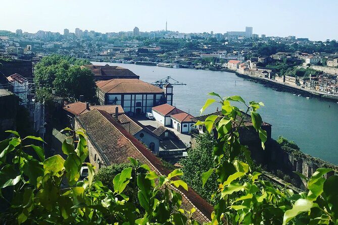Transport Lisbon/Porto Porto/Lisbon with 2 optional stops - The Itinerary: A Closer Look at the Stops
