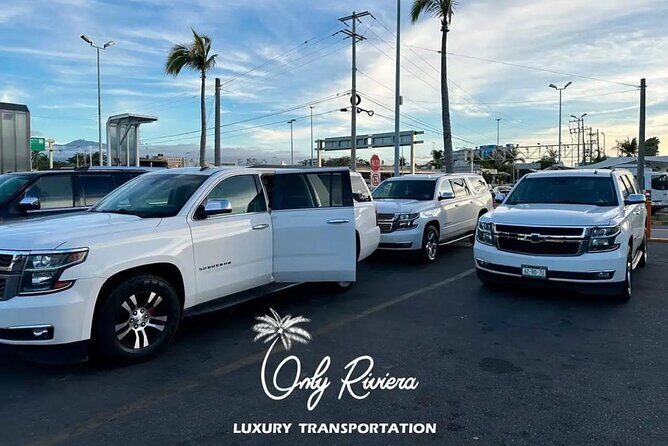 Transportation PVR airport to Punta de mita - Who Should Book This Transfer?