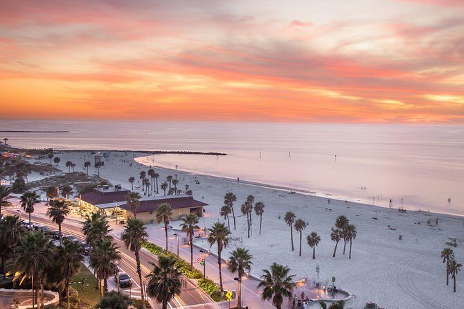 Transportation to Cruises (Cape Canaveral) - Why You Might Love This Transfer Service