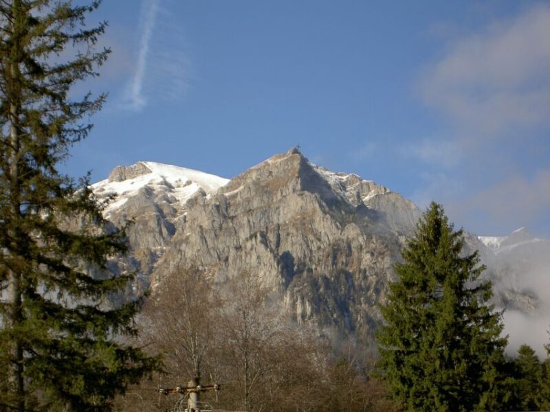 Transylvania: Cultural Full-Day Trip by Minivan - Why This Tour Is Worth Considering