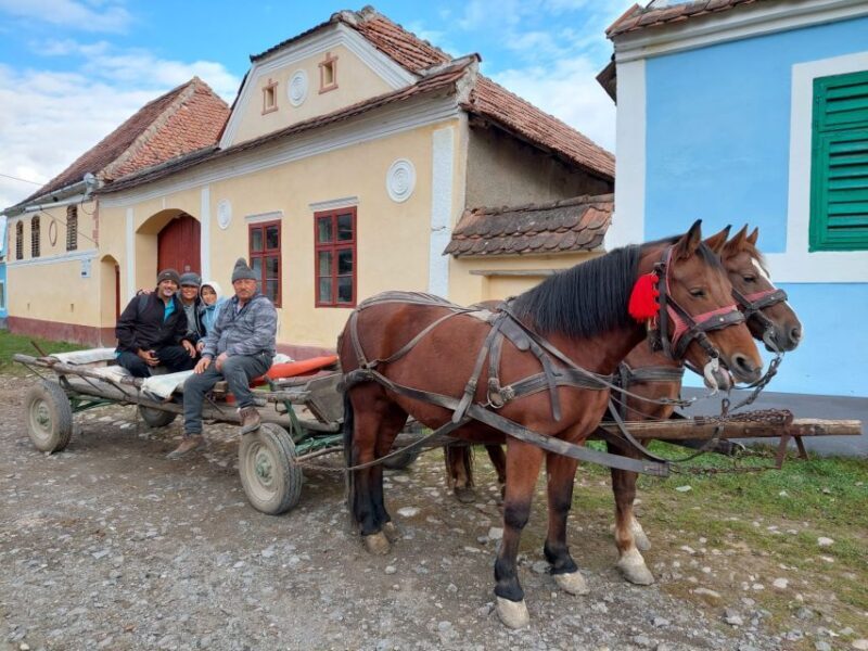 Transylvania Gems: Sighisoara, Medias, Biertan & Gypsy life - Authenticity and Cultural Insights