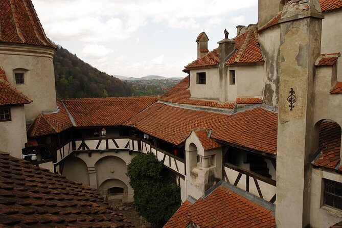 Transylvania with Dracula Castle, Bear Sanctuary and Brasov - The Sum Up: Who Should Book This Tour?