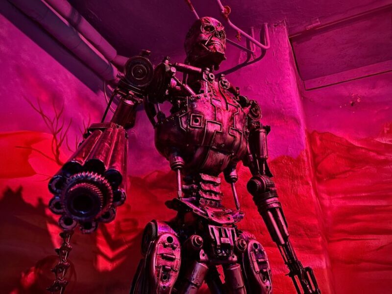 Trash Art Museum: Hungary's First Scrap Metal Exhibition - Authenticity and Artistic Value