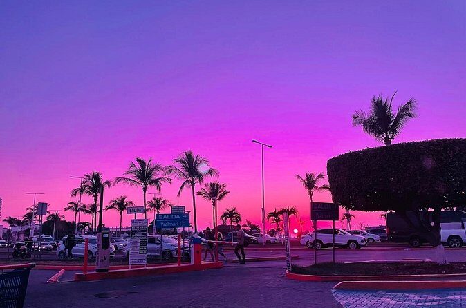 Travel from Guadalajara to Puerto vallarta shopping mall galleries - Final Thoughts