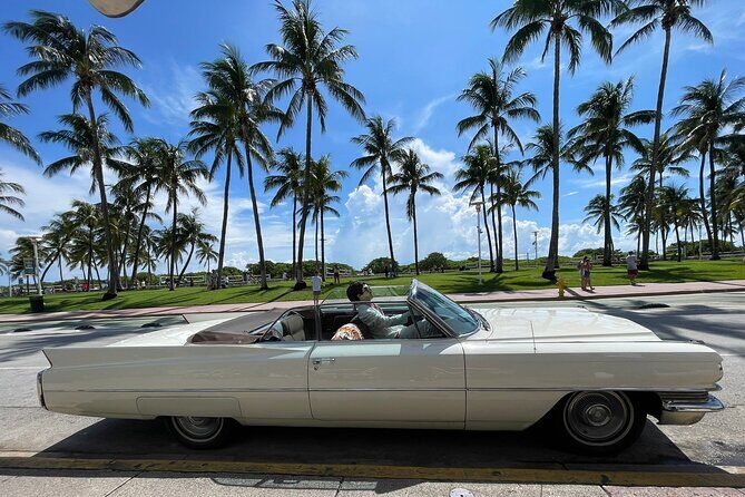 Traveler's Guide to Experience Miami 6-hour Tour - What Travelers Can Expect