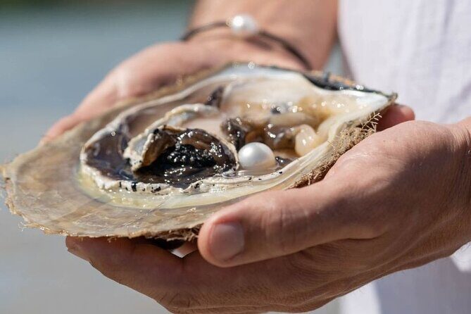 Treasures of Broome Tour - The Itinerary: A Complete Breakdown