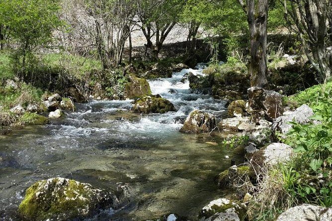 Treasures of Eastern Serbia private tour - Guides and Reviews Experience