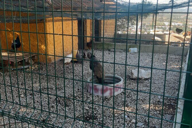 Trebinje Gastro Tour From Dubrovnik - The Sum Up