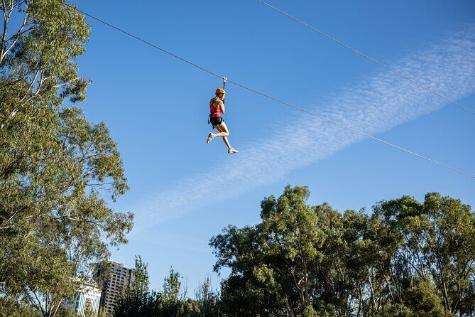 Tree Top Activity for Thrill Seekers and Adventurers in Adelaide - Introduction