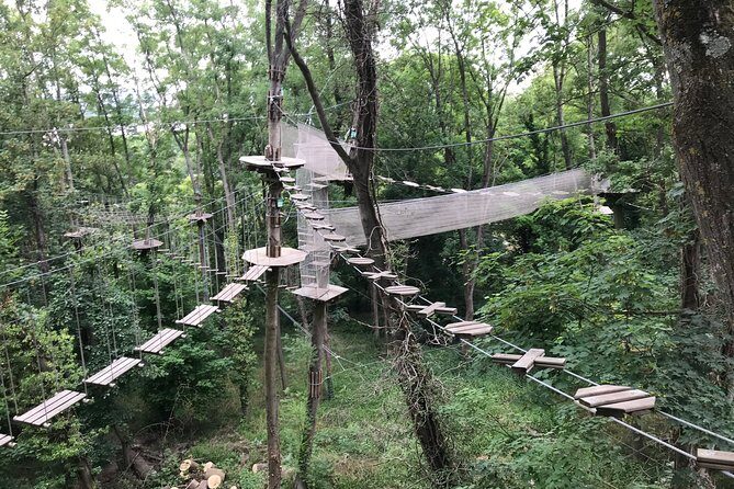 Tree Top Adventure in Rueil-Malmaison - The Authenticity and Quality of the Experience