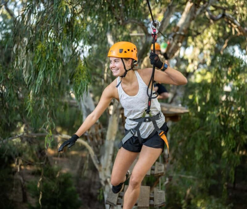 TreeClimb Adelaide: Thrilling Climb For Adventurers - TreeClimb Adelaide: Thrilling Climb For Adventurers