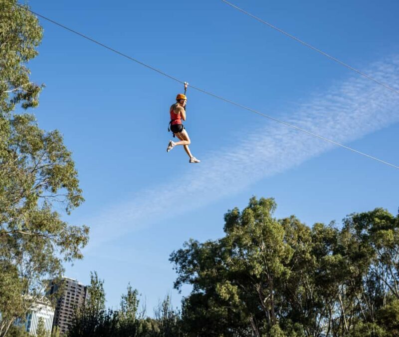 TreeClimb Adelaide: Thrilling Climb For Adventurers - Who Will Love TreeClimb Adelaide?