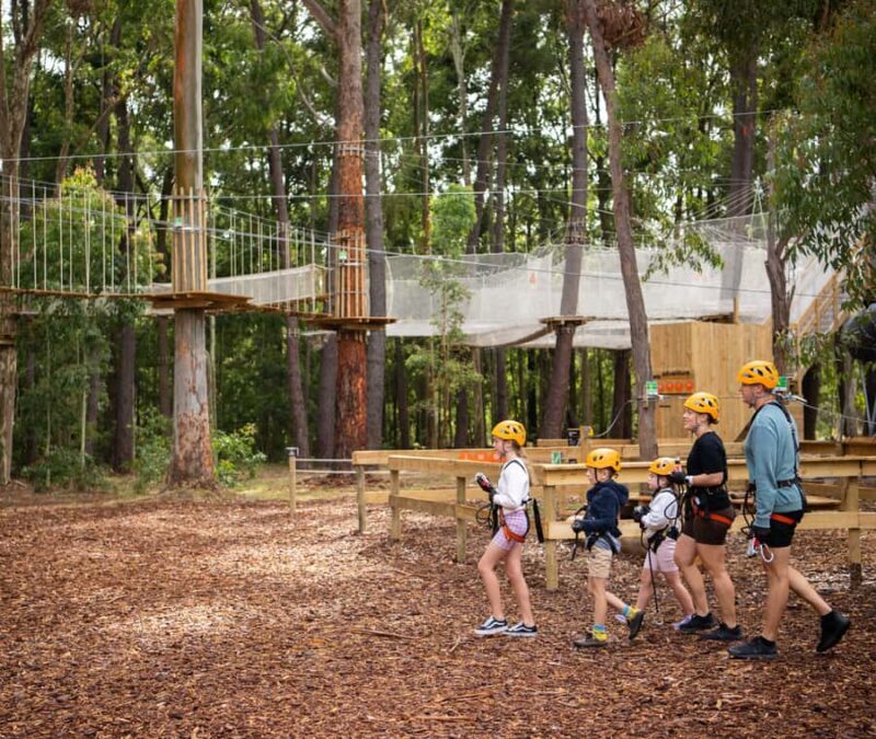 TreeClimb Kuitpo Forest: Exciting Treetop Climbing Adventure - Key Points