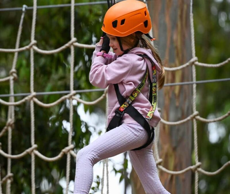 TreeClimb Kuitpo Forest: Treetop Fun For Little Adventurers - Key Points
