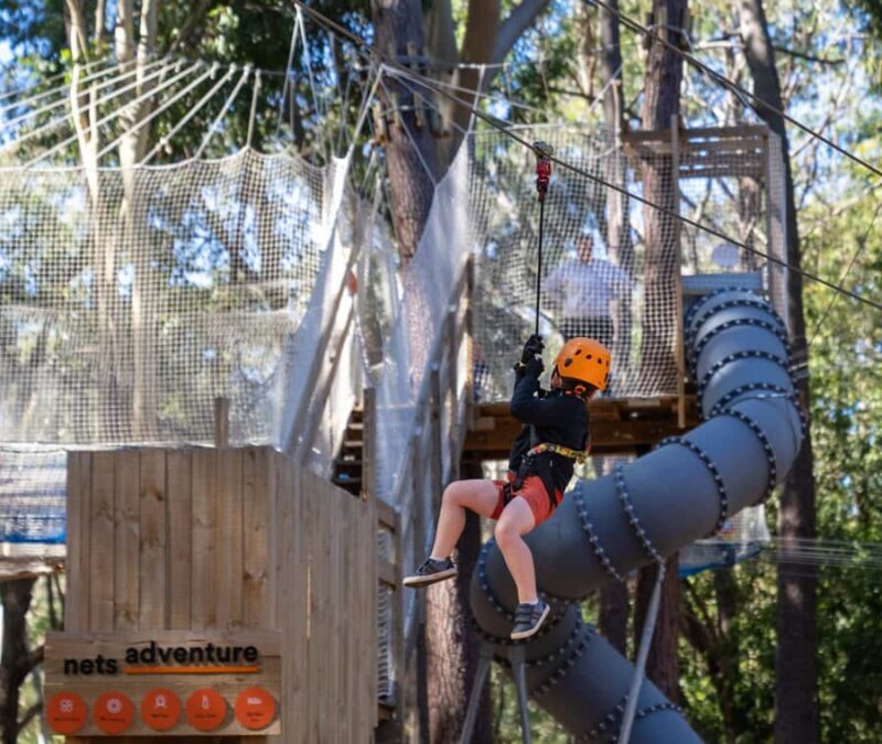 TreeClimb Kuitpo Forest: Treetop Fun For Little Adventurers - Safety and Practical Details