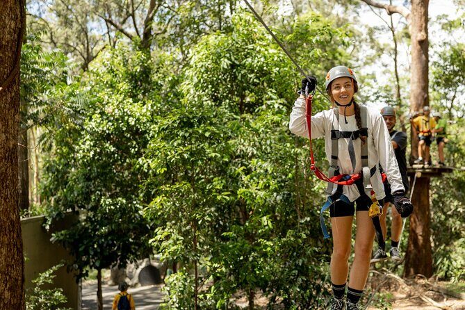 TreeTop Challenge Currumbin Wildlife Park - Key Points