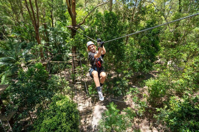 TreeTop Challenge Currumbin Wildlife Park - What Reviewers Say