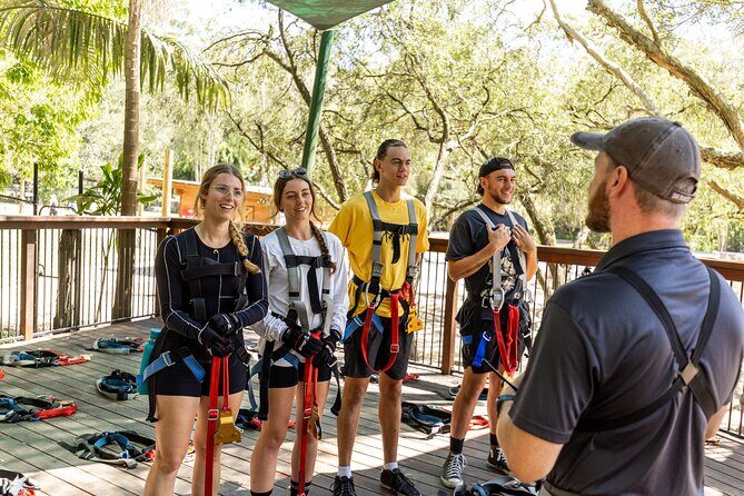 TreeTop Challenge Currumbin Wildlife Park - Is It Worth the Price?