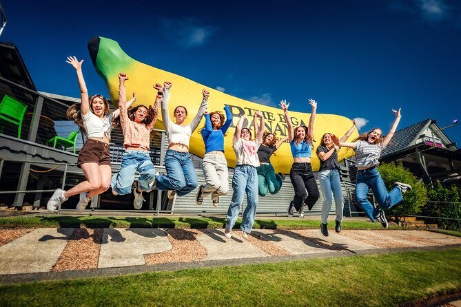 Treetops Adventure Coffs Harbour Tree Ropes Course - Who Will Love This Experience?