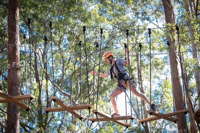 Treetops Adventure The Hills - Tree Ropes Course - An In-Depth Look at Treetops Adventure The Hills