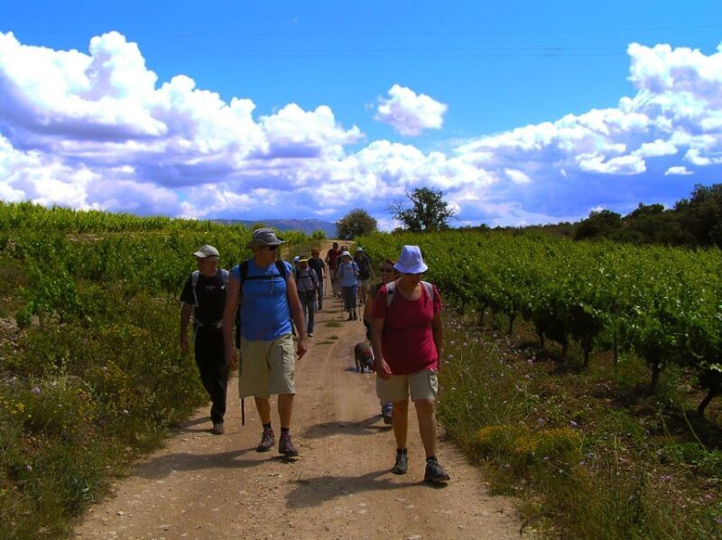 Trek & Wine in Priorat - Trek & Wine in Priorat: An Authentic Journey through Catalonia’s Hidden Vineyards