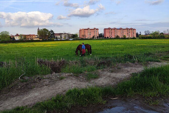 Trekking in the Wood with picnic on the turtles lake - Exploring Milan’s Hidden Green Space: Trekking in the Wood with Picnic on Turtles Lake