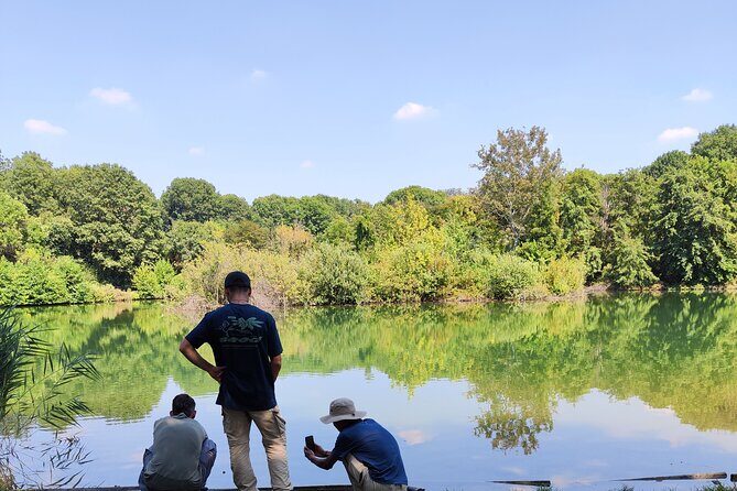 Trekking in the Wood with picnic on the turtles lake - Who Will Love This Tour?