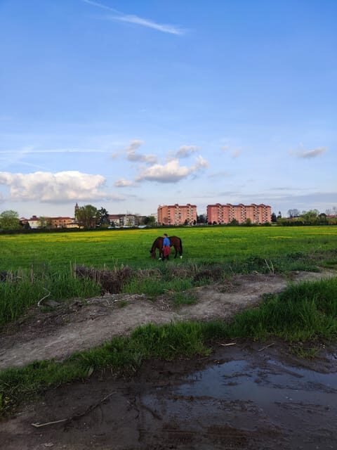 Trekking in the Wood with picnic on the turtles lake - Key Points  