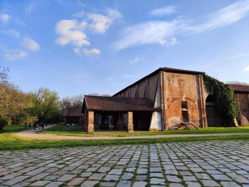 Trekking in the Wood with picnic on the turtles lake - A Deep Dive into the Experience  