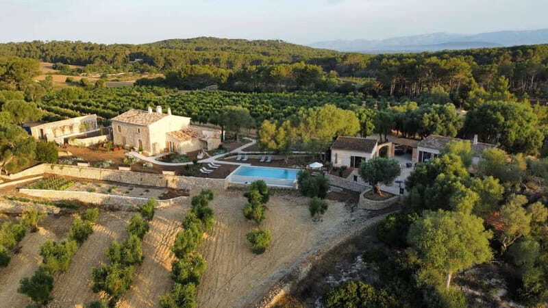 Treurer: Olive Oil Night. Gastronomic experience - FAQ