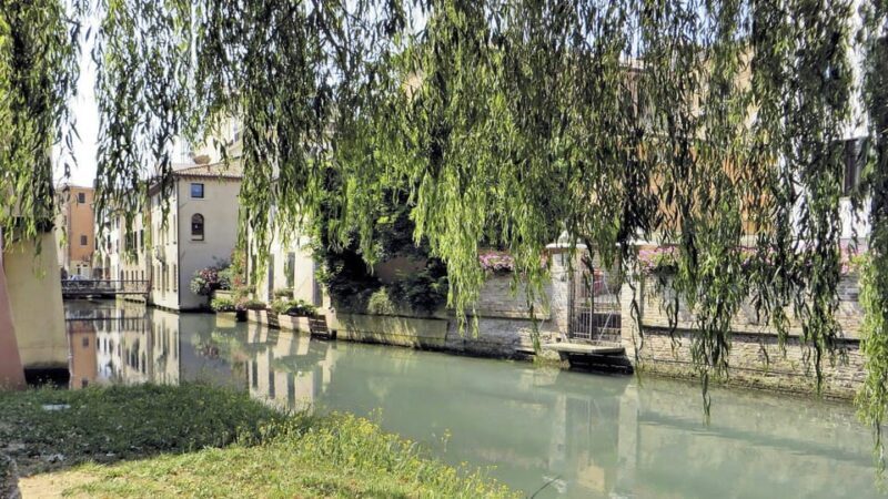 Treviso Small-Group Walking Tour: Top Sights & Hidden Gems - Key Points
