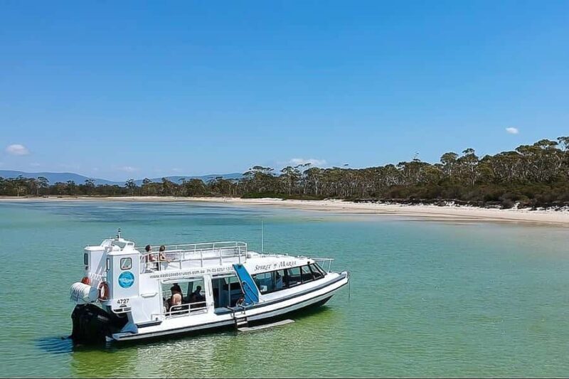 Triabunna: Maria Island and Ile Des Phoques Day Trip by Boat - Unpacking the Experience: What to Expect on the Day