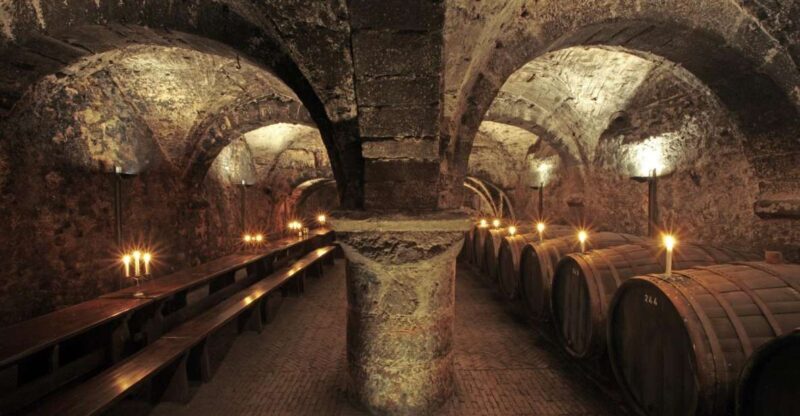 Trier: Discovery Tour  Germany's Oldest Wine Cellar - An In-Depth Look at the Trier Wine Cellar Tour