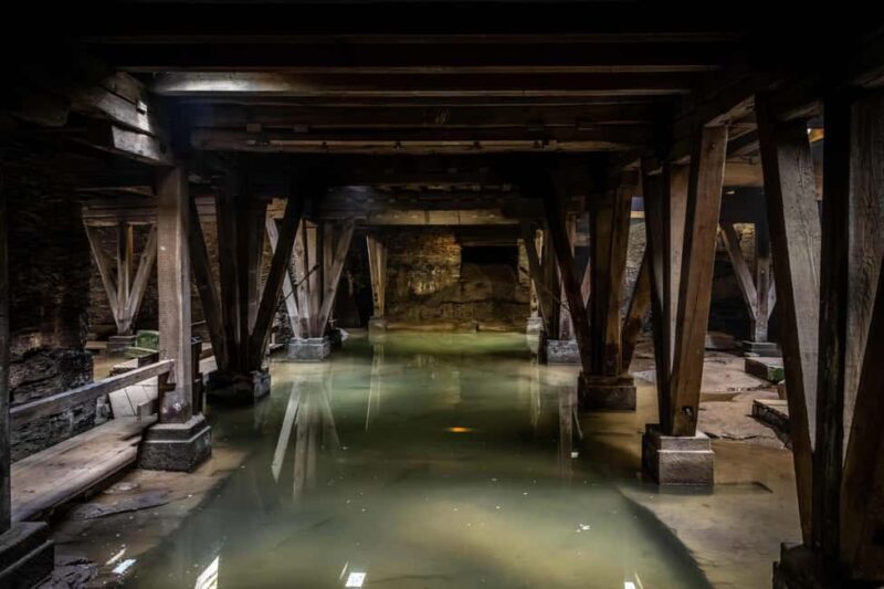 Trier: Gladiator Valerius adventure tour - Accessibility and Limitations