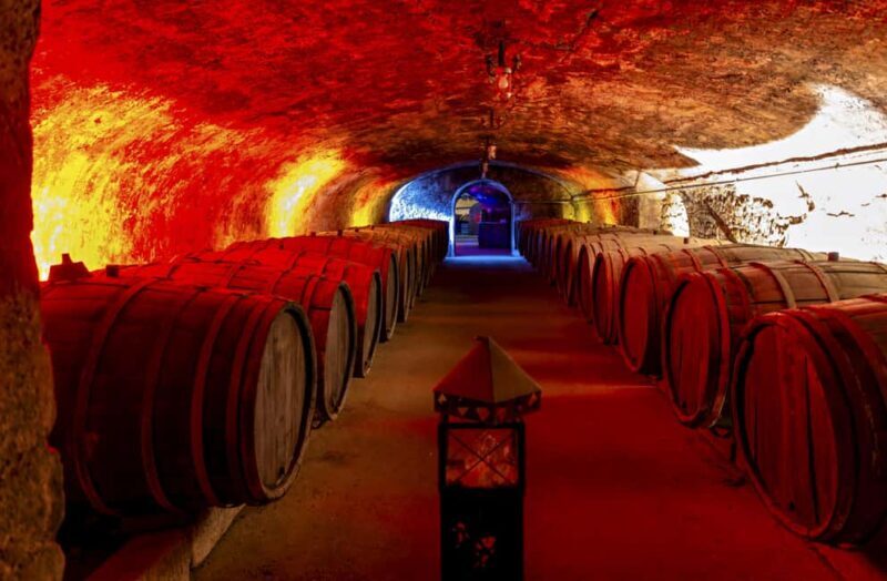 Trier: Mosel wine meets history  wine tour with cellar visit - Practical Details and What to Expect