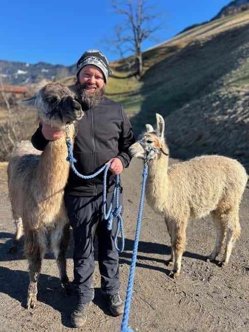 Triesenberg: Walk with Llamas in the Mountains - Who Will Love This Tour?