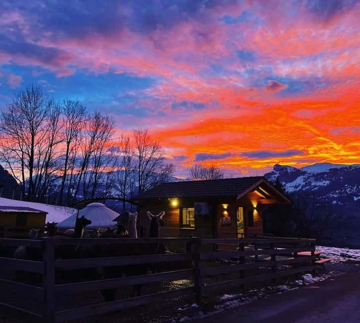 Triesenberg: Walk with Llamas in the Mountains - Final Thoughts