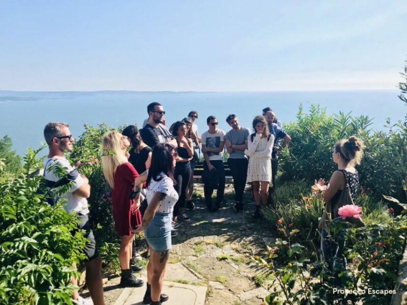 Trieste: 2.5-Hour Prosecco Origins Tour and Tastings - Key Points