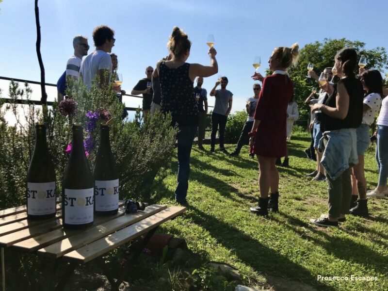 Trieste: 2.5-Hour Prosecco Origins Tour and Tastings - The Experience in Detail