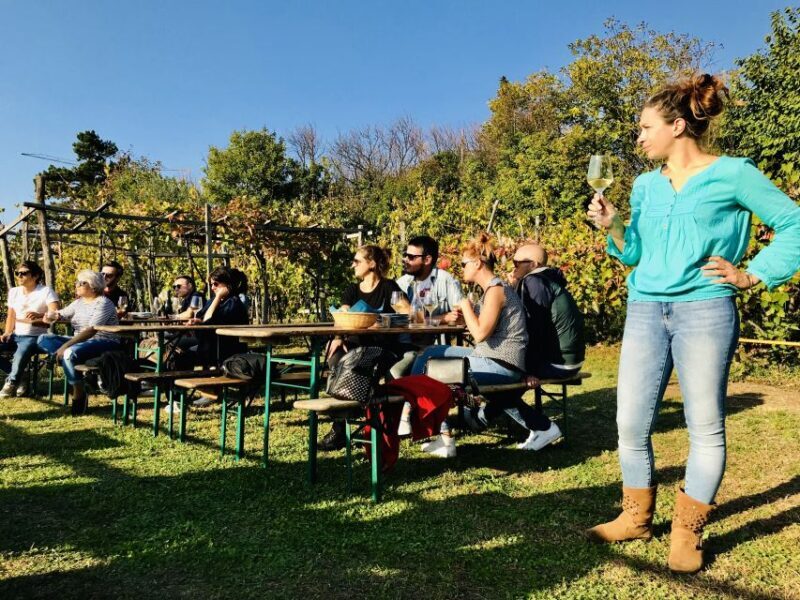 Trieste: 2.5-Hour Prosecco Origins Tour and Tastings - Practical Tips for Travelers