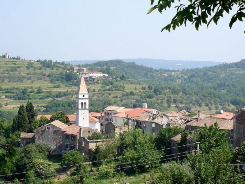 Trieste: Flavors of Istria Tour to Hum, Gronjan, & Motovun - A Closer Look at the Experience