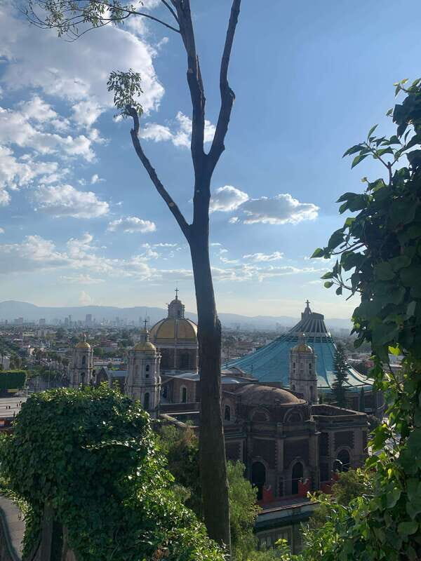 Trip through Teotihuacan, Basilica and Mezcal tasting. - Who Should Consider This Tour?