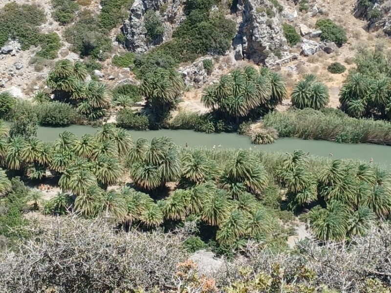 Trip to Kourtaliotiko Gorge and Preveli Beach - Who Should Consider This Tour?
