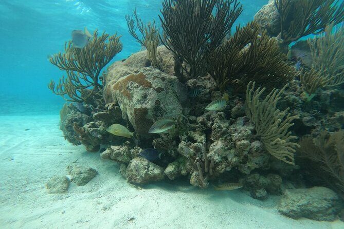 Trip to Mayan Ruins and Caribbean Village with Snorkeling - Key Points