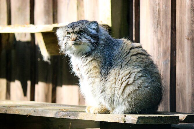 Trip to Ranua Wildlife Park - The Sum Up