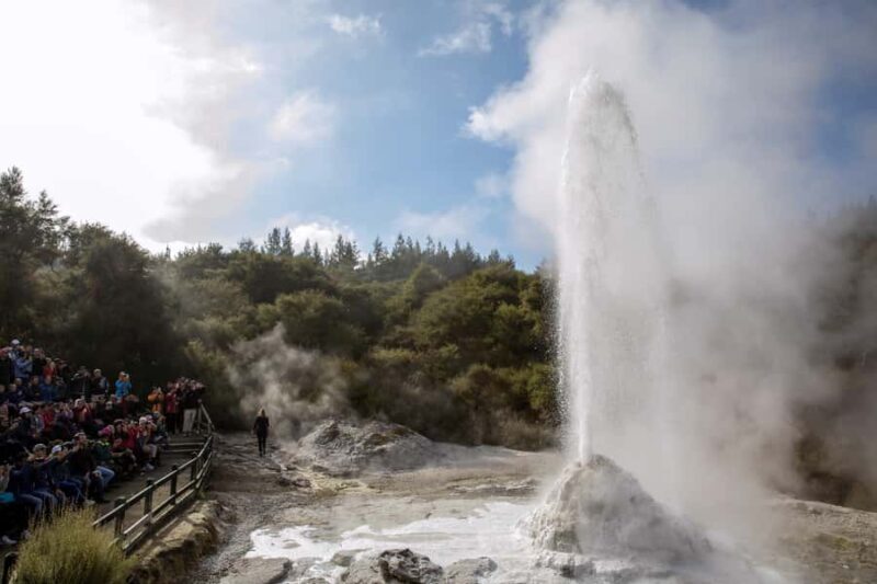 TRIPLE DEAL Wai-O-Tapu, Redwood & Blue Spring from Auckland - A Deep Dive into the Tour Experience