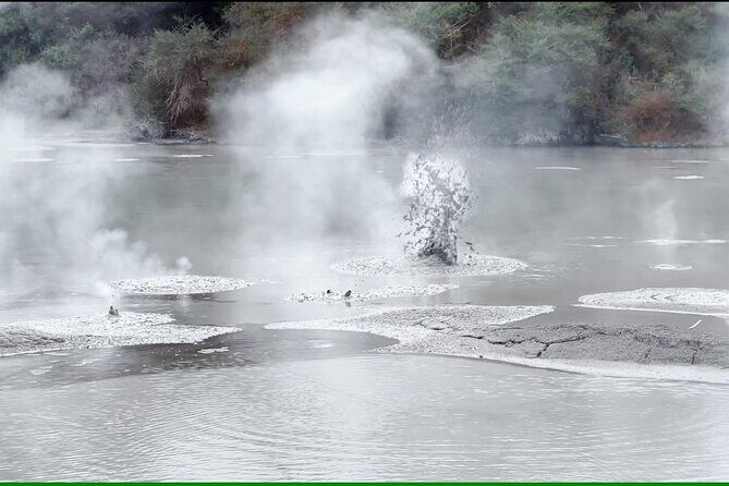 TRIPLE DEAL Wai-O-Tapu, Redwood Forest & Blue Springs Ex Auckland - Quirky Town of Tirau: The Iron Dog and Sheep