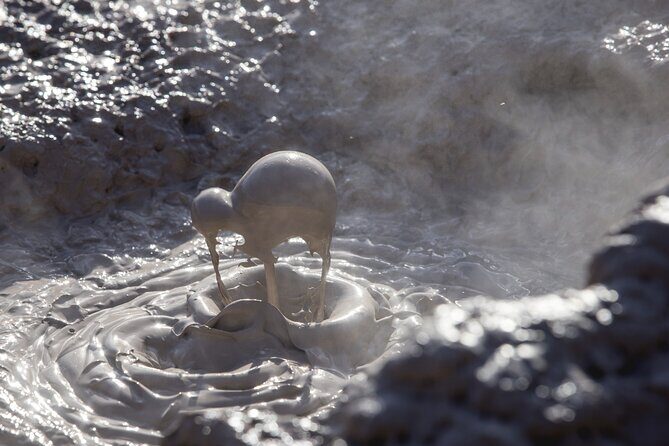 TRIPLE DEAL Wai-O-Tapu, Redwood Forest & Blue Springs Ex Auckland - The Long Road Back to Auckland