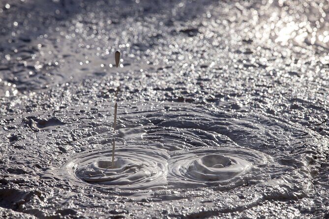 TRIPLE DEAL Wai-O-Tapu, Redwood Forest & Blue Springs Ex Auckland - What Makes This Tour Stand Out?