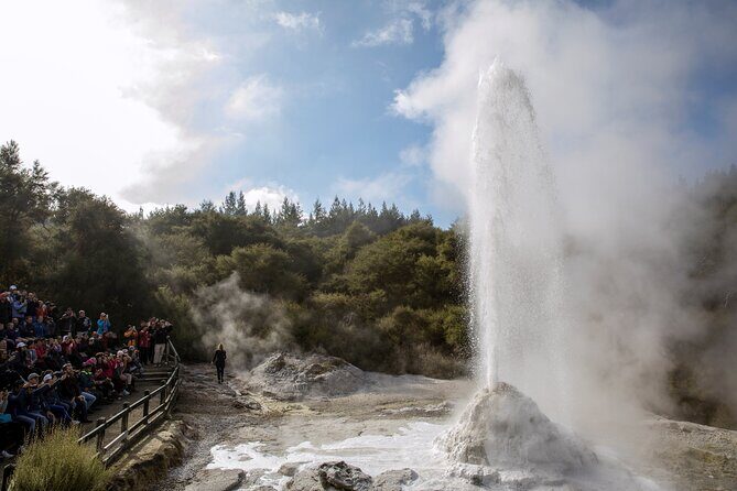TRIPLE DEAL Wai-O-Tapu, Redwood Forest & Blue Springs Ex Auckland - Practical Considerations